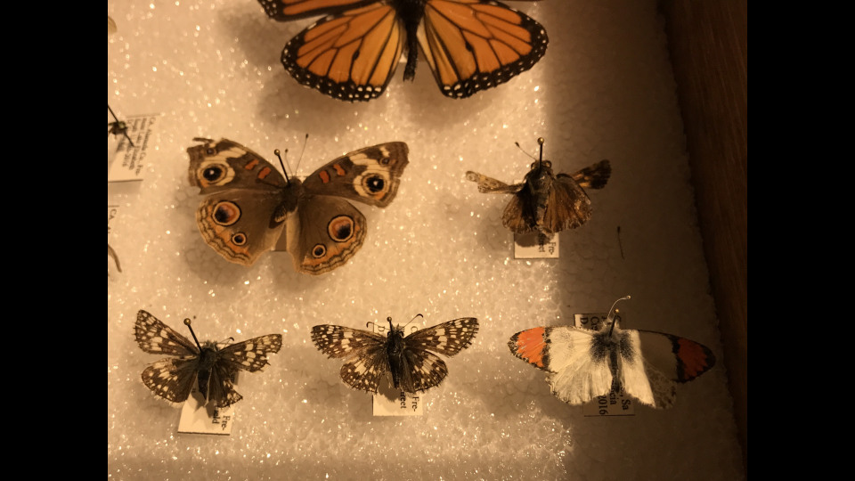 Portfolium Network: Showcase Your Skills in an ePortfolio