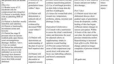 Impaired Skin Integrity Nursing Care Plan For Pressure Ulcer ...