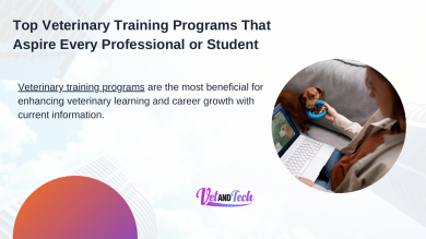Veterinarian Education And Training