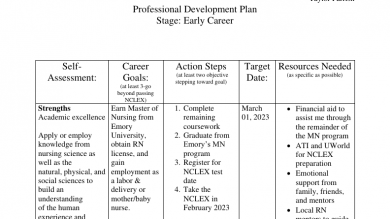 Professional Development Plan For Nurses