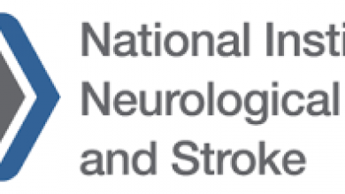 Logotipo De Ninds