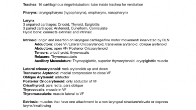 Thyrovocalis