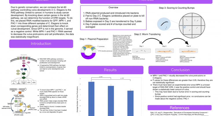 Research in Microbiology- Graphic Posters - Powered by Portfolium