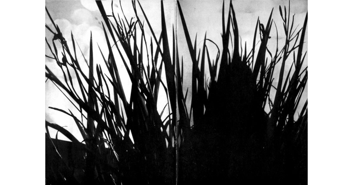 Portfolium Network: Showcase Your Skills in an ePortfolio