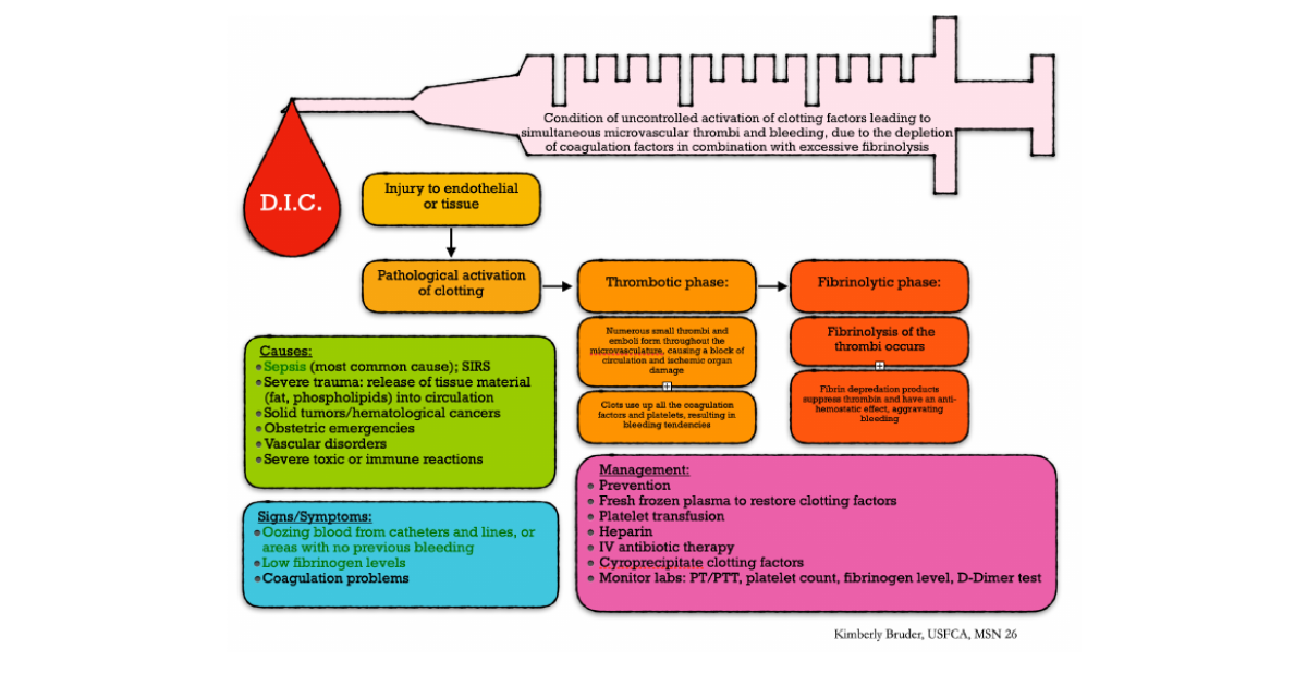 Immunity Concept Map
