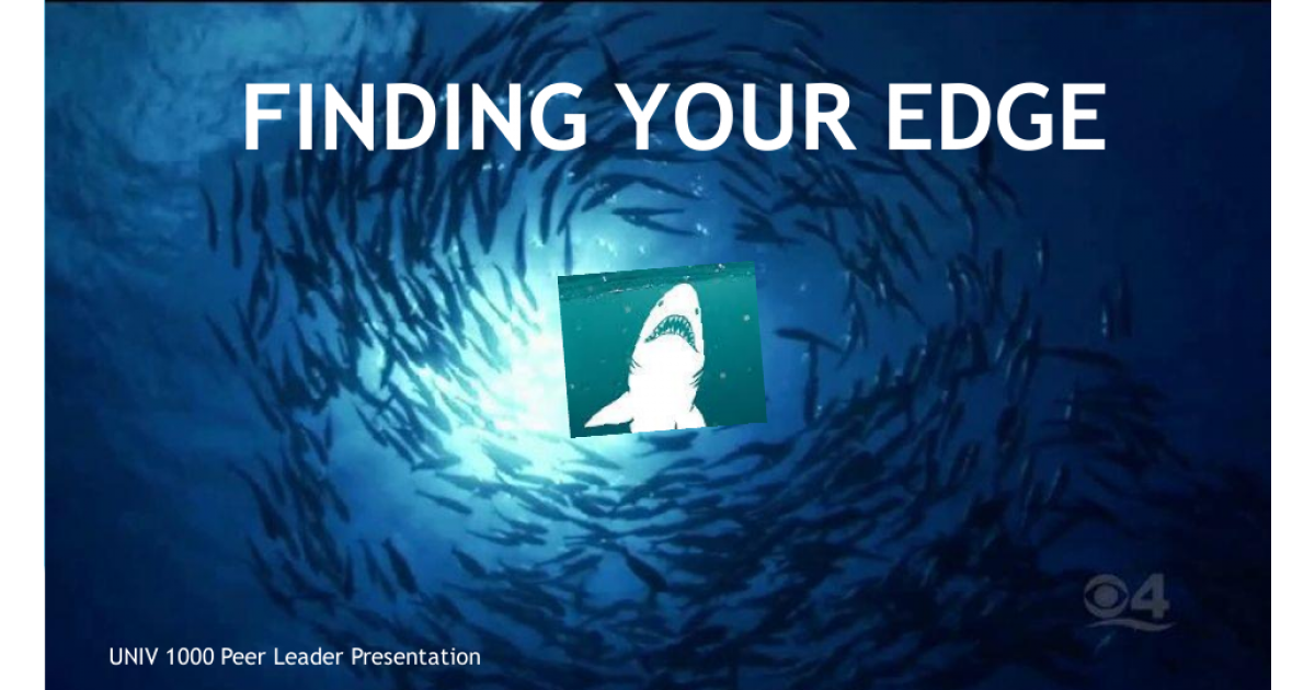 Portfolium Network: Showcase Your Skills in an ePortfolio